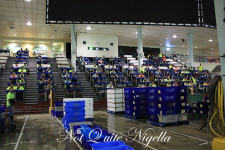 Tour Sydney Fish Market wholesale Fish Auction @ Not Quite Nigella