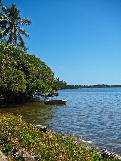 Bougna Feast in New Caledonia @ Not Quite Nigella