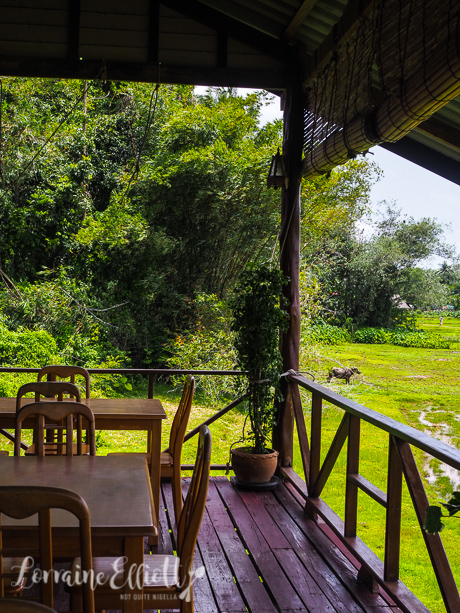 Koh Yao Noi Things to do @ Not Quite Nigella