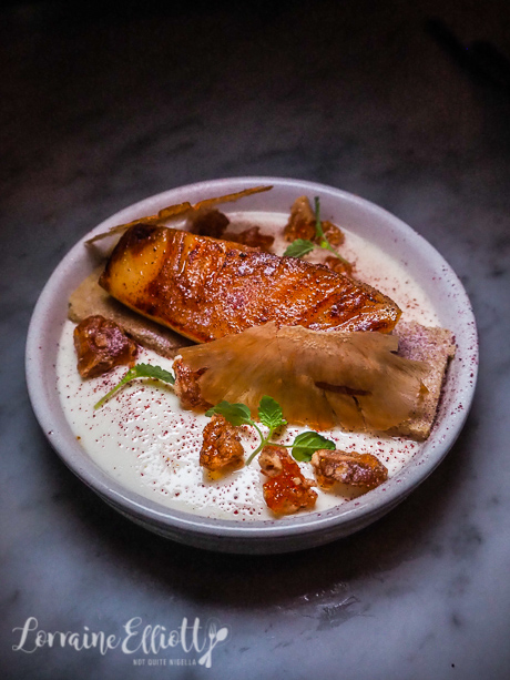 Tayim, The Rocks review @ Not Quite Nigella