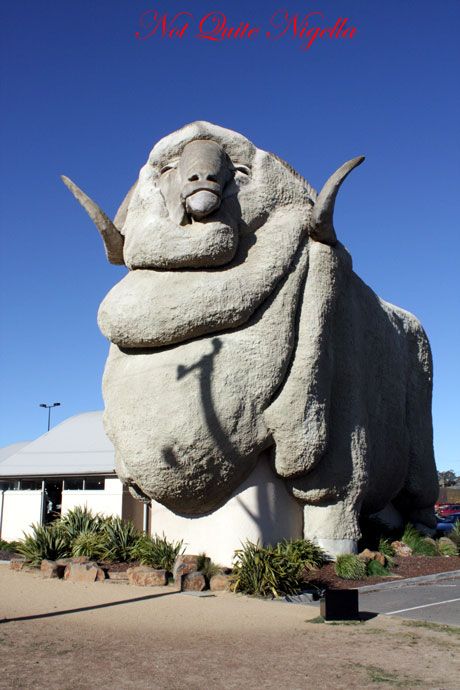 The Big Merino, The Loaded Dog, Tarago and Braidwood @ Not Quite Nigella